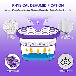 NATRUTH Moisture Absorbers With Lavender Scent,12.5OZ*6-Pack Portable Closet Dehumidifier, Odor Eliminator Absorber Bucket,Humidity Absorber,Cleaner Air Dehumidifier for Closet,Bathrooms, Kitchen