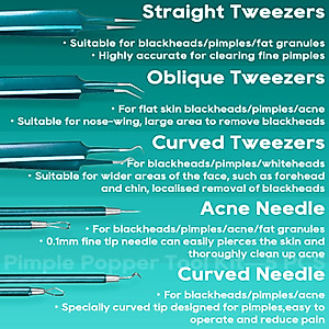 HiBeauty PRO Professional Facial Steamer, Hot Mist, Ozone Humidifier, Can Use at Home and Beauty Salon, Extract Blackheads, Rejuvenate and Hydrate Your Face Skin for Youthful Complexion (Button)