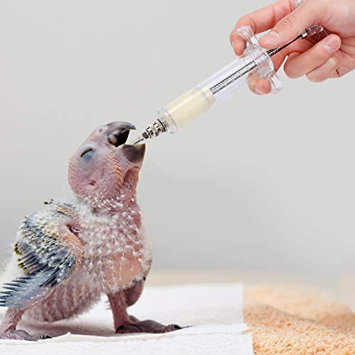 OBANGONG 2 Sets Hand Feeding Syringe for Birds,Feeding Tubes used for Pet Baby Bird Parrot feed milk and medicine,20ml,10ml