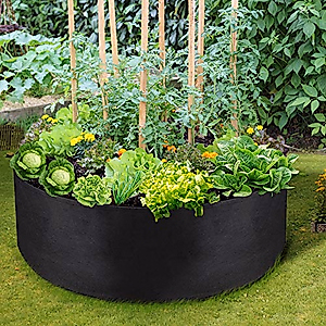 IWNTWY 50 Gallon Large Grow Bag, Heavy Duty Fabric Round Raised Garden Bed Planter Pots for Planting Herb Flower Vegetable Potato Plants (36" D x 12" H, Black)