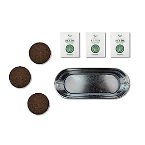 BUZZY Organic Windowsill Grow Kit | Kitchen Herbs: Basil, Cilantro, and Chives | Best Gardening Gifts, Favors, Parties, Events, Unique, and Fun | Growth Guaranteed