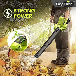 SnapFresh Leaf Blower - 20V Leaf Blower Cordless with Battery & Charger, Electric Leaf Blower for Lawn Care, Battery Powered Leaf Blower Lightweight for Leaf/Snow/Dust Blowing