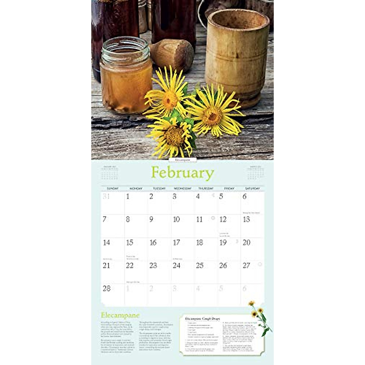 Rosemary Gladstar's Herbs Wall Calendar 2021