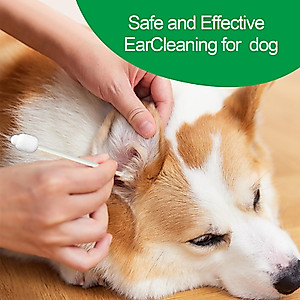 Professional Dog Ear Cleaning swabs - for All Breeds and Sizes of Dogs to take Care of Ear Cleaning to Effectively Prevent Accidental Injuries.. (L)