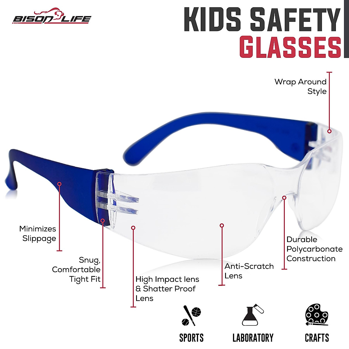BISON LIFE Safety Glasses for Kids 12 Pack | ANSI Z87 Impact and Scratch Resistant, Clear Lens Assorted Color Temples, Child Youth Size Science Glasses Variety Pack