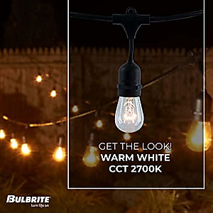 Bulbrite 14 ft, 10-Socket Decorative Kit with Clear Incandescent STRING10/E26/BLACK-S14KT Indoor and Outdoor String Lights, Black