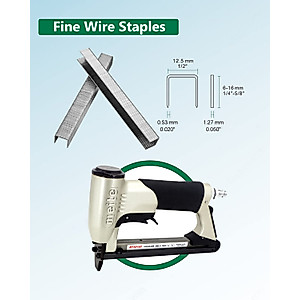 meite 20 Gauge 1/2-Inch (12.3mm) Crown 1/2-Inch Length Upholstery Staples for Staple Gun, Fine Wire Stainless Steel Staples for Carpet, Work Box, Cable, Shed (5,000 Pieces)