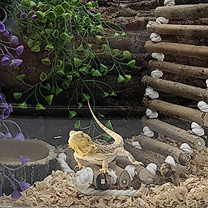 Hamiledyi Gecko Ladder Bridge, 2 PCS Wooden Reptile Ladders Hanging Bearded Dragon Rope Bridge Hermit Crab Climbing Toys Terrarium Accessories for Chameleons Turtle Lizard Frog