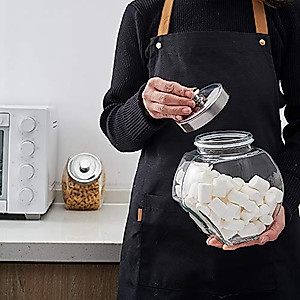 Hyperspace Glass Penny Jar, Candy Jar, Cookie Jar, Kitchen Canister, Set of 2 (73OZ)