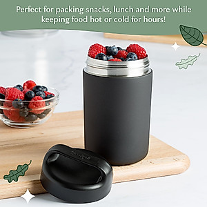 Goodful Vacuum Sealed Insulated Food Jar with Handle Lid, Stainless Steel Thermos, Lunch Container, 16 Oz, Gray