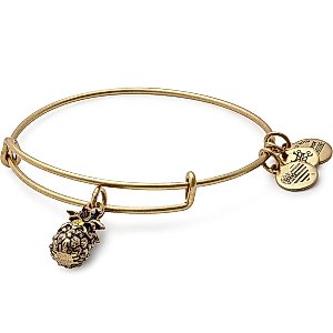 Alex and Ani Path of Symbols Expandable Bangle for Women, Pineapple Charm, Rafaelian Gold Finish, 2 to 3.5 in