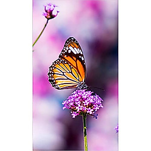 NEC - UN552VS Display 55 Ultra-Narrow Bezel Professional-Grade Display - 55 LCD - 1920 x 1080 - Direct LED - 500 Nit - 1080p - HDMI - USB - DVI - SerialEthernet