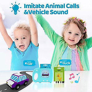 Websonaw Toddler Toys for 2 3 4 5 Year Old Boys Girls, Talking Flash Cards with 224 Words, Autism Sensory Toys for Autistic Children Learning Montessori Toys for 2 Year Old, Speech Therapy Toys