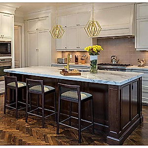 Westinghouse Lighting 6369700, Champagne Brass Finish Holly One-Light Indoor Pendant, one Size