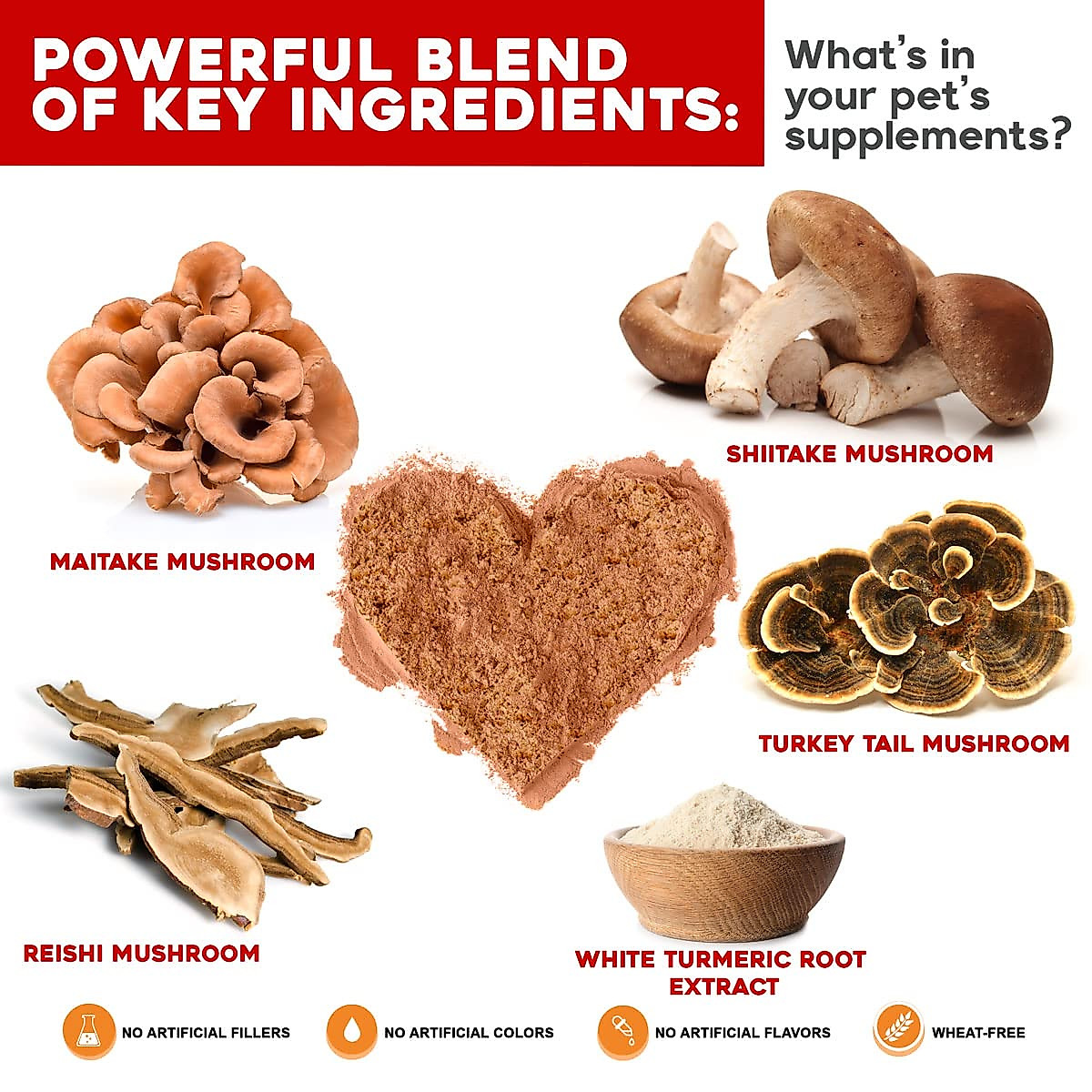 Turkey Tail Mushroom for Dogs Immune Support Bundled with Probiotic Nutrient Enhancer