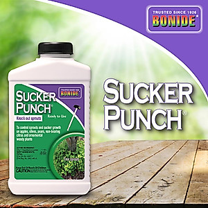 Bonide Sucker Punch, 8 oz Ready-to-Use Sprout Control Liquid with Brush Applicator, Plant Growth Regulator