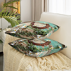 Castle Fairy Horseshoe Reversible Print Pillow Cover 18"x18" for Bed or Sofa,Rustic Vintage Wooden Board Pack of 2 Cushion Cover,White Daisy Flower Single Pack Couch Pillow Cover