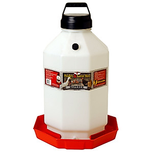 Miller Little Giant 7 Gallon Poultry Waterer Fount - The Best