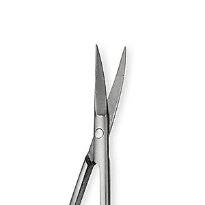 Amazon Basics Beauty Scissors, Stainless Steel, Silver