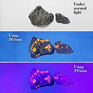 TNATRA UV 365nm and 395nm Flashlight, UV Blacklight for UV Glue Curing,Rocks & Minerals Hunting,Pet Stain Detector&Scorpion Finder, Dry Stain, Portable&Zoomable LED Ultraviolet Flashlight