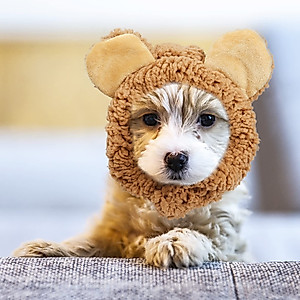 YAODHAOD Plush Bunny Ears Pet Headband, Soft Comfortable Cat Hat with Bear Ears Headwear Cosplay Dress up Accessories Pet Halloween Party Costume for Cats & Small Dogs (Cute Bear Hat)