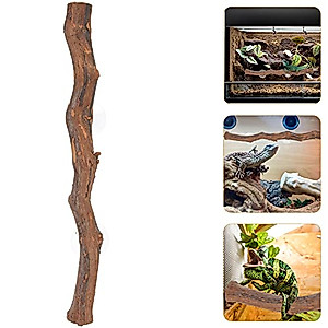 LUOZZY Bearded Dragon Accessory Wooden Tree Branch Reptile Tree Branch Lizard Reptile Toy for Small Pet