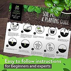Indoor Herb Garden Starter Kit - 5 Herb Plant Grow Kit w/ Pots & Soil - DIY Heirloom Herb Seeds Home Gardening Kit - Kitchen Window Garden Growing Kit - Unique Gardening Gifts for Women & Men