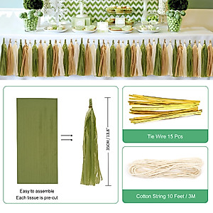 jijAcraft 15Pcs Tissue Paper Tassel Garland Sage Green, DIY Party Tassel Banner for Greenery Safari Jungle Woodland Baby Shower Camp Bachelorette Bridal Shower Birthday Nursery Classroom Decor