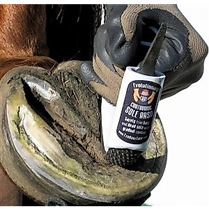 EVO Hoof Care Bar and Sole Rasp-1 'Original'