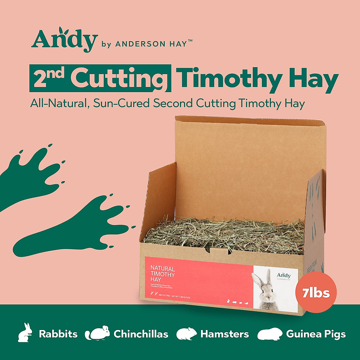 Andy 2nd Cut Timothy Hay, Premium Rabbit Food, 7 lb Box, Guinea Pig and Chinchilla Hay, Balanced Nutrition for Rabbits, Chinchillas, and Guinea Pigs