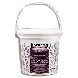 Rockwell Labs BAIP005 Boractin 5lb Insectcide