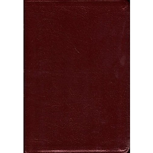 Holy Bible Personal Size Giant Print Red Letter Edition Nelson 334BG (NKJV)