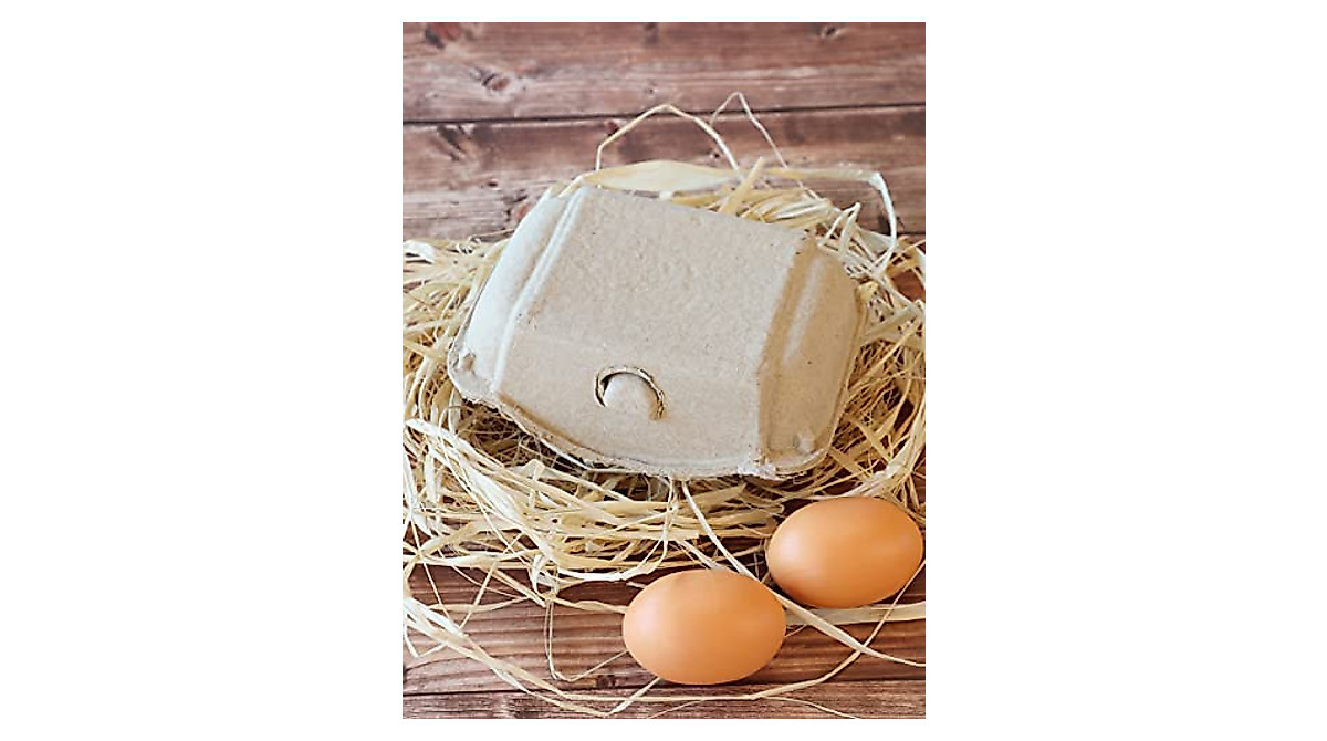 Lawei 20 Pack Empty Egg Cartons - Ideal for Storage