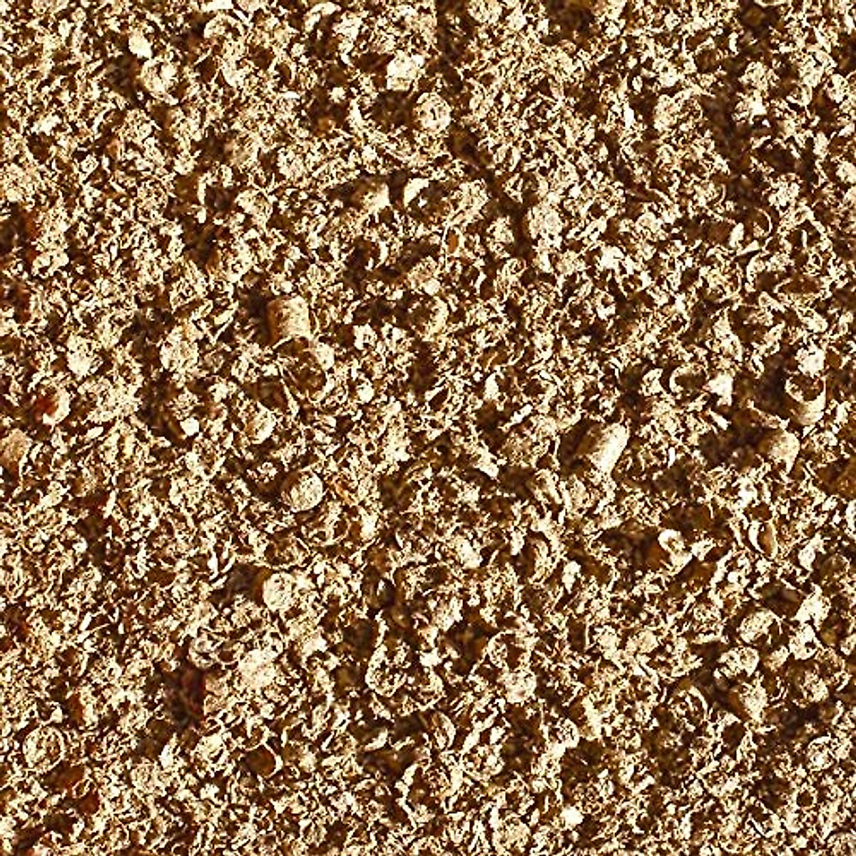 Oley Hemp Cat Litter - 4 Pounds