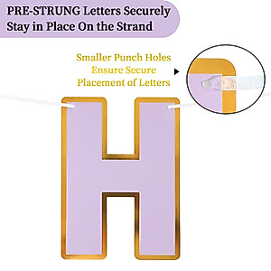 LITAUS, Macaron Happy Birthday Banner - Pre-Strung, 9 ft, No DIY | Birthday Decorations | Happy Birthday Sign for Birthday Decor, Backdrop | Birthday Banner for Women, Kids | Macaron Birthday