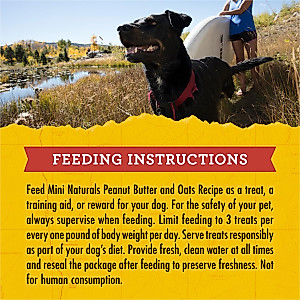 Zuke’s Mini Naturals Soft Chewy Dog Treats For Training Pouch, Natural Treat Bites With Peanut Butter And Oats - 16 oz. Bag
