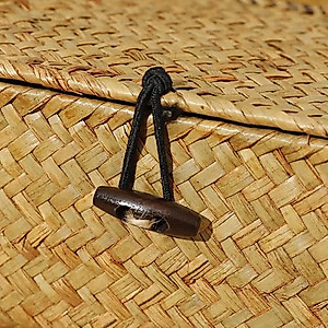 JIBIACB Hand Woven Baskets for Organizing,Storage Basket,Rattan-Style Storage Trunk,Rectangular Handwoven Seagrass Storage Basket with Lid (23x13x8cm)