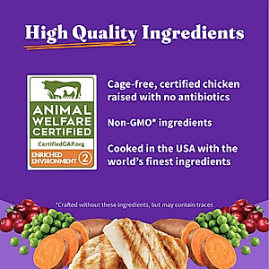 Halo Holistic Indoor Cat Food Dry, Grain Free Cage-free Chicken Recipe for healthy weight support, Complete Digestive Health, Dry Cat Food Bag, Adult Formula, 3-lb Bag