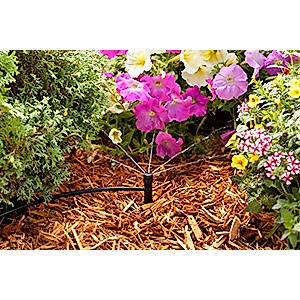 Rain Bird MBH4PKS Drip Irrigation Micro-Bubbler on Stake, 180° Half Circle Pattern, 0 - 3' Spray Distance, 4-Pack