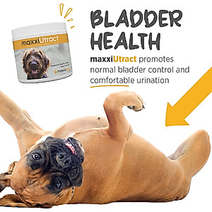 maxxipaws maxxiUtract Urinary & Bladder Support - Powder Supplement for Dogs, 5.3oz