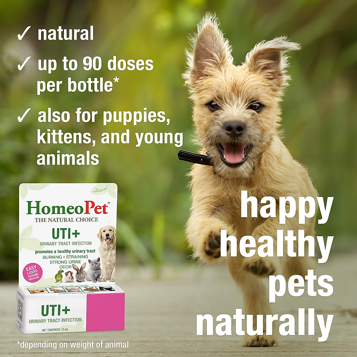 HomeoPet UTI Plus Urinary-Tract Relief, Supportive UTI Medicine for Dogs, Cats, and Other Pets, 15 ml