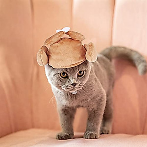 Cat Pet Thanksgiving Turkey Hat for Halloween Thanksgiving Costumes Hat Small Dog Drumstick Hat for Accessories and Party Favors.