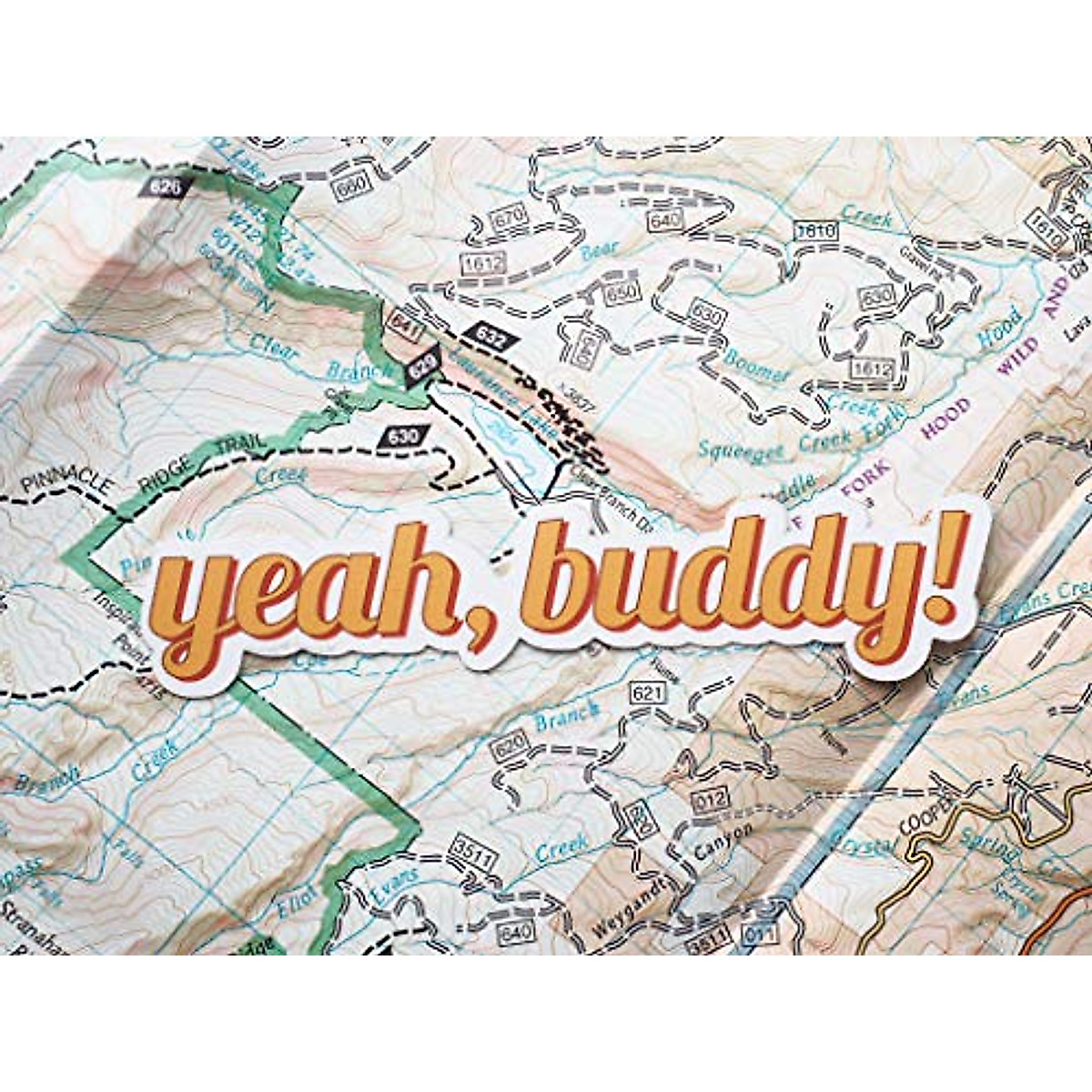 Yeah Buddy Sticker, Ronnie Coleman Body Building Gym Sticker for Hydroflask, Laptop, Water Bottle, Funny Philly Sayings, Jersey Shore Quotes