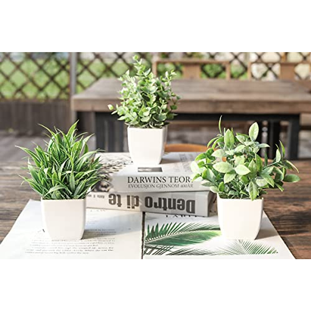 Der Rose 6 Packs Small Fake Plants Artificial Plants in Pots for Home Bathroom Bedroom Living Room Decor Indoor
