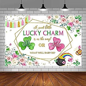 AIBIIN 7x5ft Lucky Charm Gender Reveal Backdrop St. Patrick's Day Baby Shower Photography Background He or She Pink or Green Shamrock Clover Gold Coin Party Decor Banner Supplies Photo Shoot Props