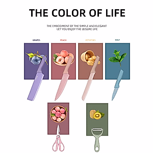 Colorful Kitchen Knives Set of 6 PCS Cute Fruit Knife Set with Gift Box,High Carbon Steel Kitchen Knife Set without Block, Environmental Wheat Straw Material Handle, Sharp Professional Chef Knife