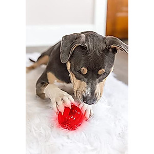Pet Qwerks Blinky Babble Ball - Flashing Interactive Chew Dog Toy - Small
