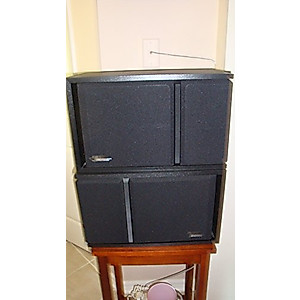 Bose 301 Series III Direct Reflecting Speaker