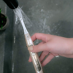 IONIC KISS IONPA DH Home Champagne Gold Special Bundle Ionic Power Electric Toothbrush, 2×Regular, 2×Wide, 2×Compact Brush Heads, Made in Japan, DH-311 CG