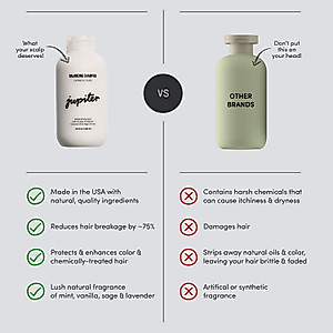 Jupiter Anti-Dandruff Shampoo, for Women & Men, Physician-Formulated for Flaky, Itchy, Oily, Dry Scalp, Vegan, Sulfate-Free, Color-Safe, & Paraben-Free, Anti-Dandruff Shampoo with Zinc, 9.5 fl oz